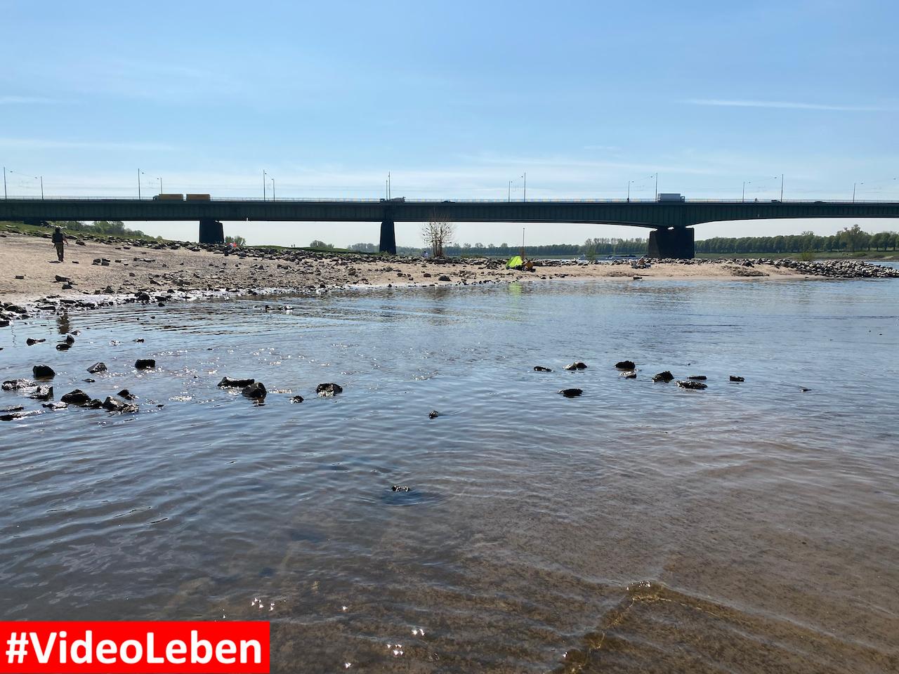 Sandstrand am Rhein in Düsseldorf - VideoLeben
